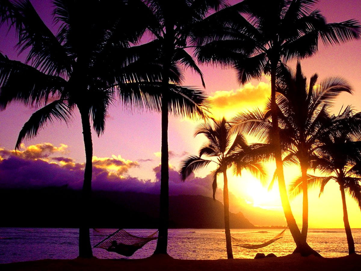 Hintergrund Strand, Natur, Tropen | Download freie Hintergründe