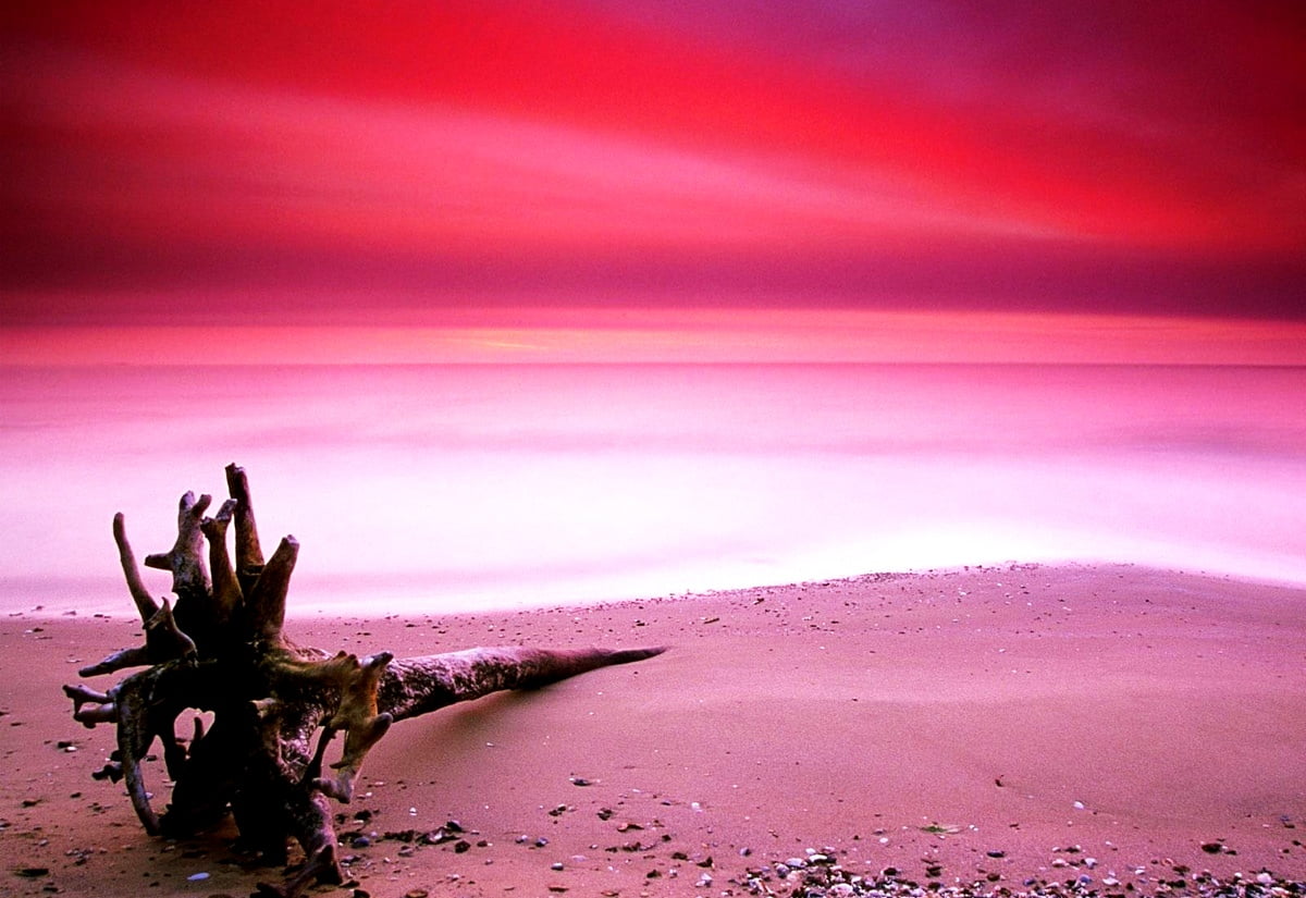 Geiles Hintergrundbild Natur, Strand, Rosa | TOP kostenlose ...