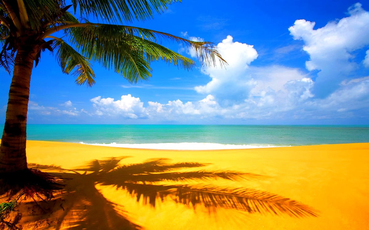 Windows Strand, Natur, Tropen Wallpaper | Download TOP freie Fotos