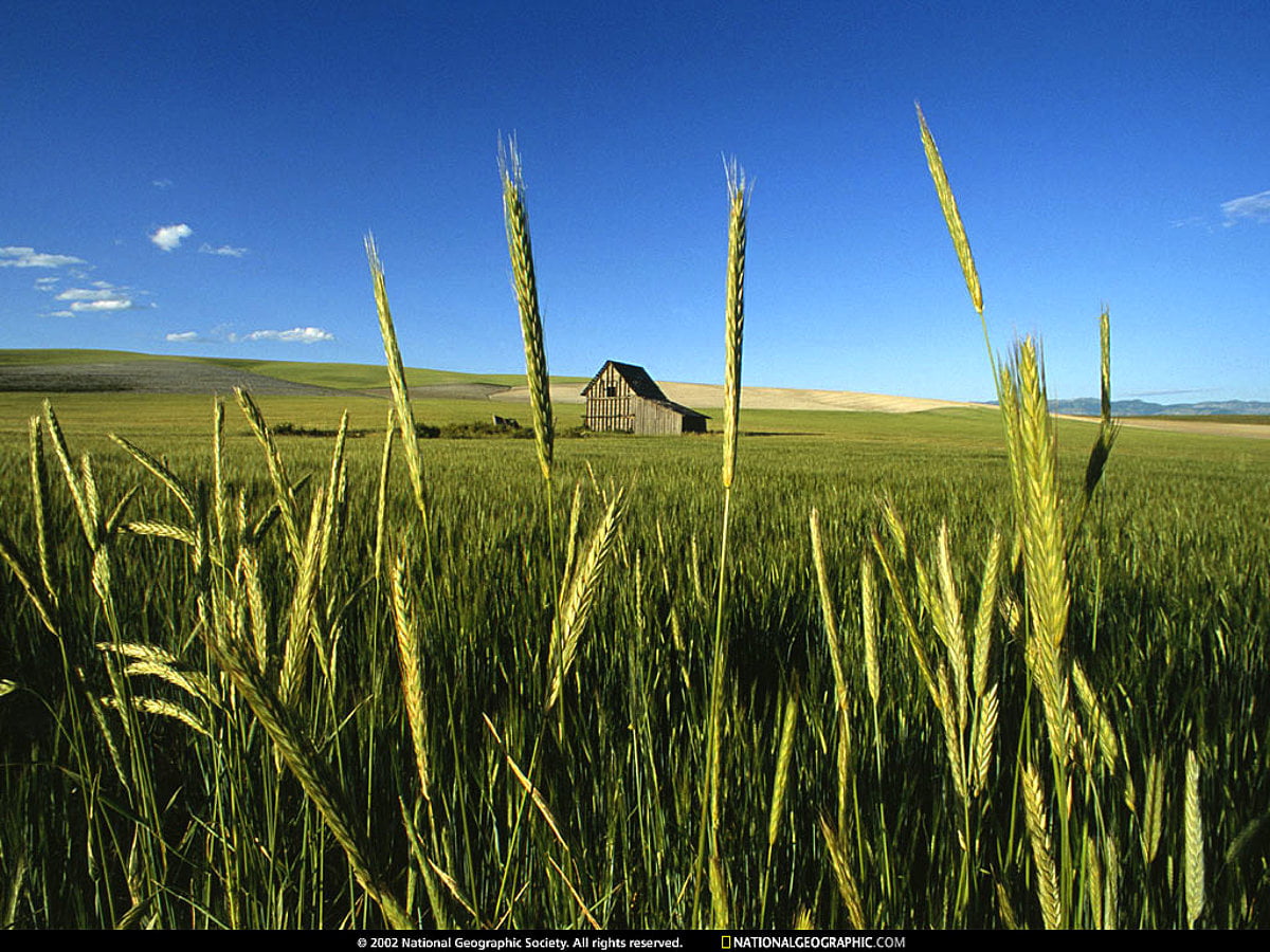 20+ Steppe Hintergrundbilder HD | Kostenlose Bilder
