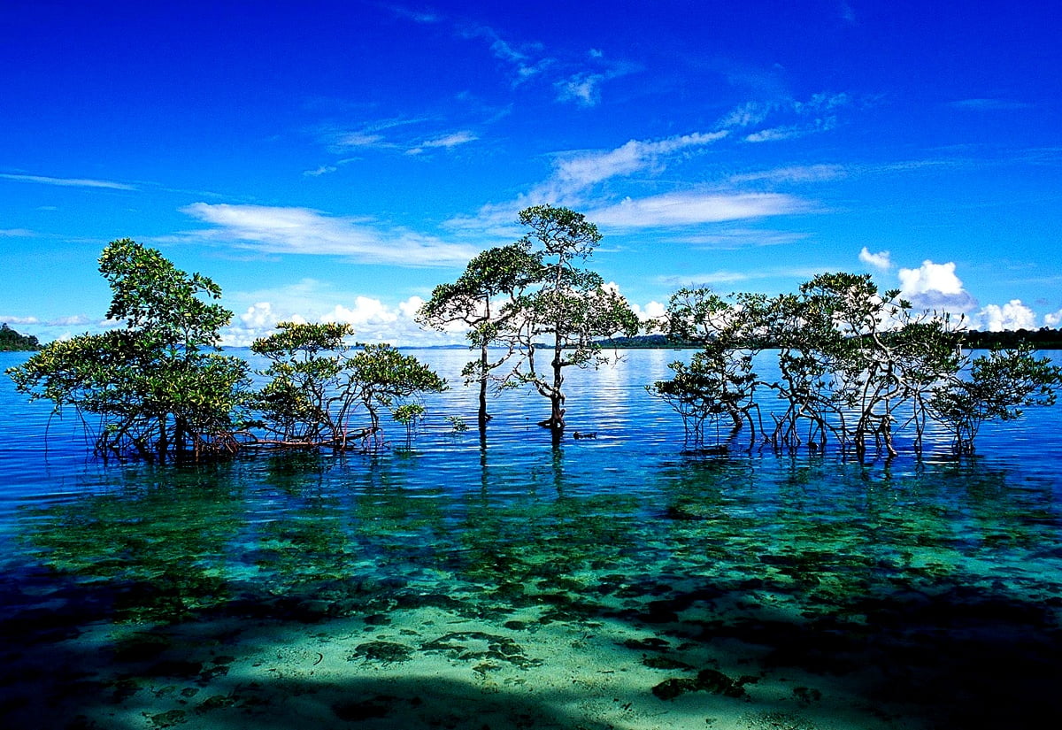 Hintergrund Natur, Meer, Blaue | Download freie Hintergründe