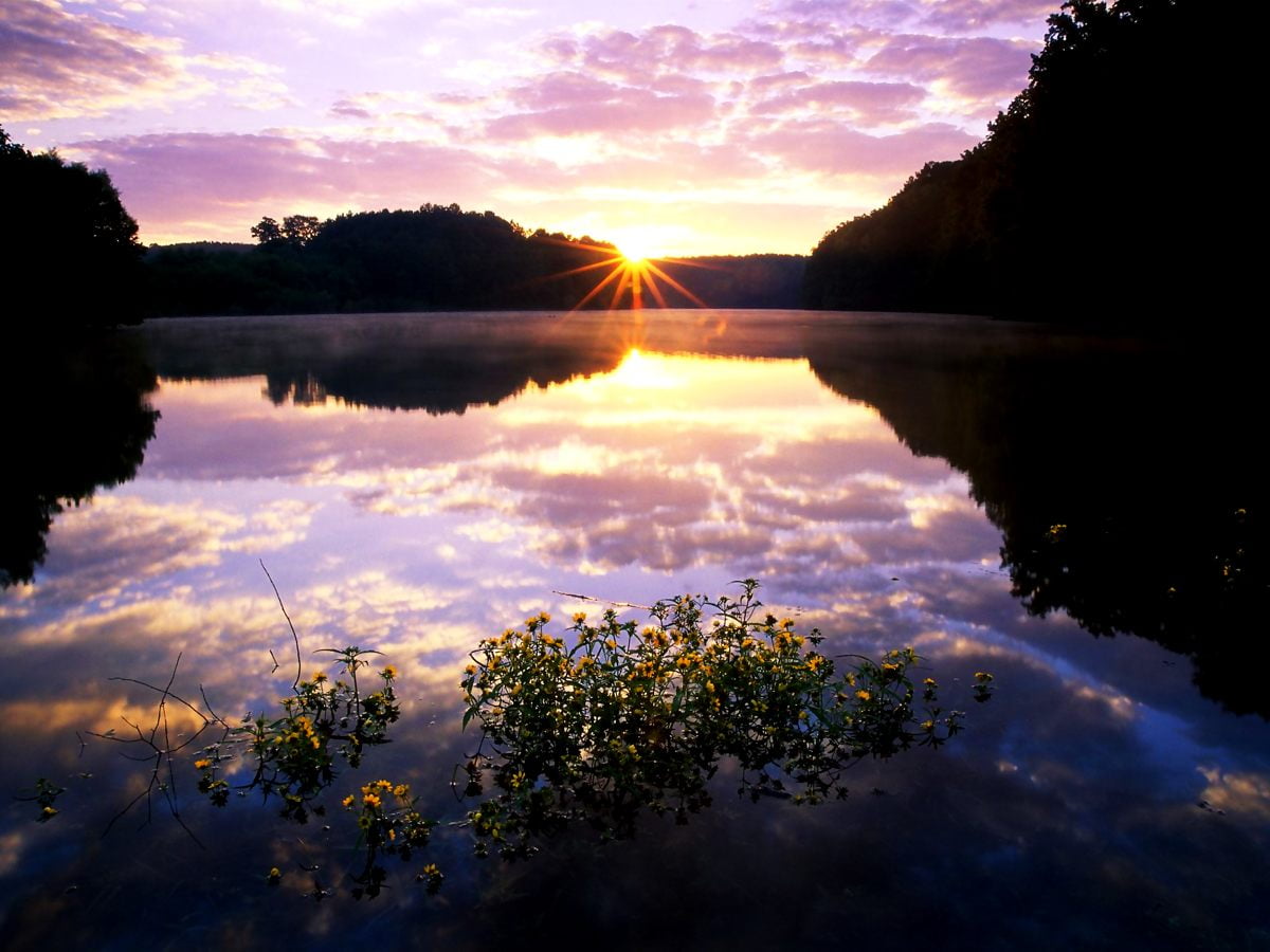 Cooles Hintergrundbild See, Natur, Betrachtung | Download TOP freie ...
