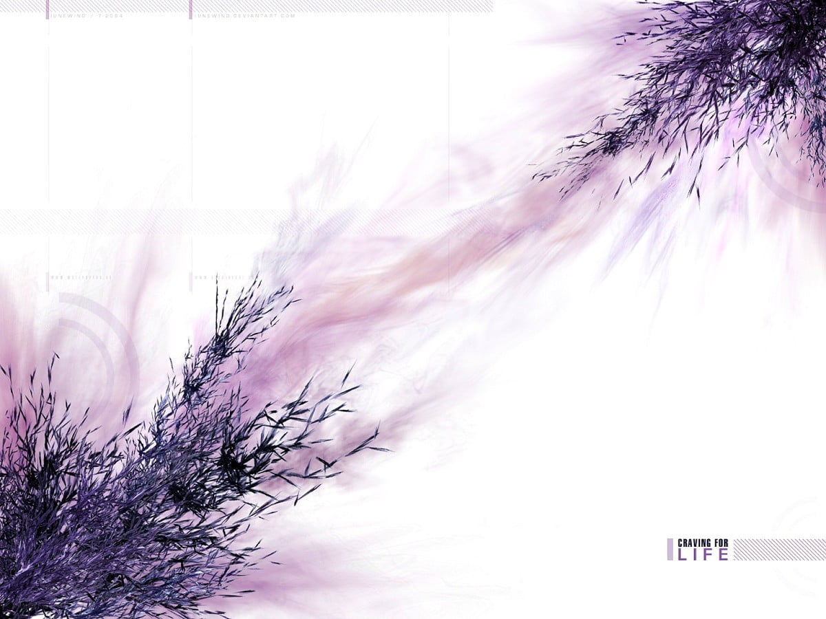 1100+ Rosa Desktop Bilder 4K | Kostenlose wallpapers