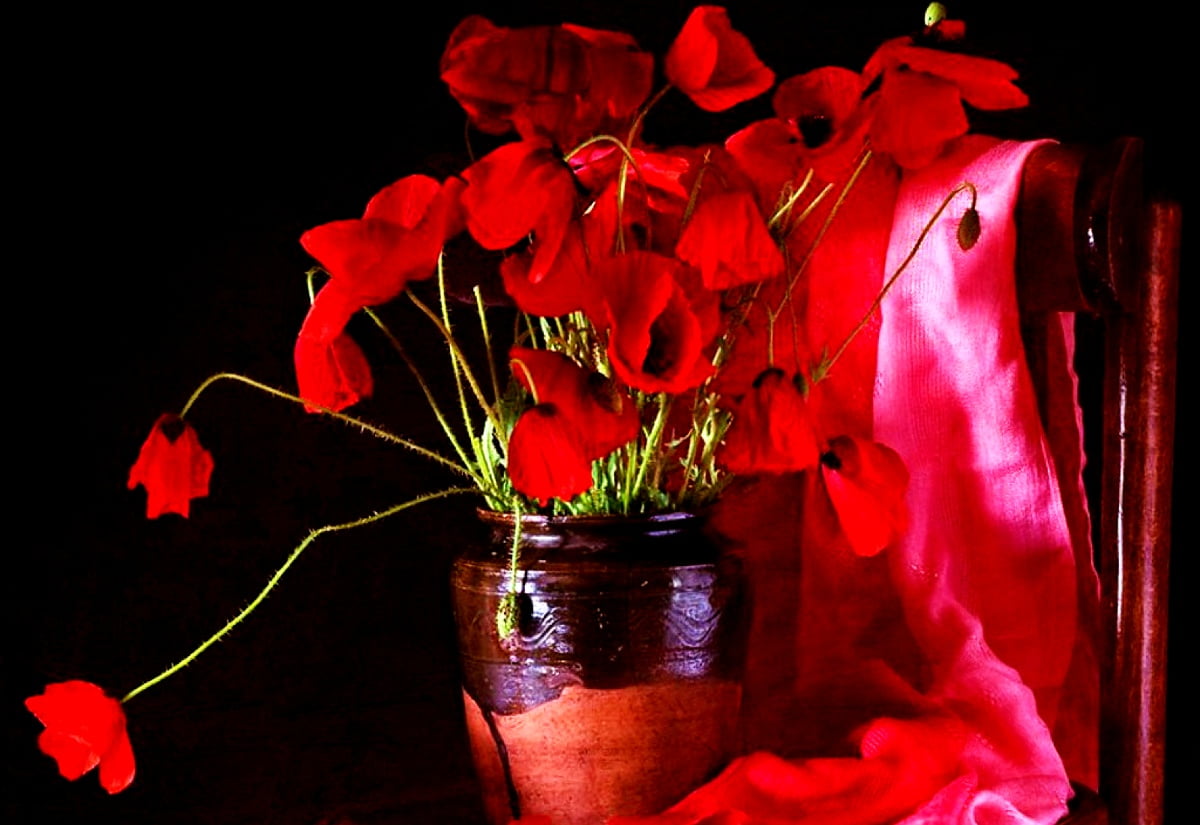 80+ Mohn Hintergrundbilder HD | Kostenlose Bilder