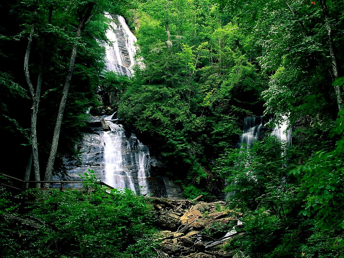 Bild Natur, Wasserfall, Alter Wald | Beste freie Bilder