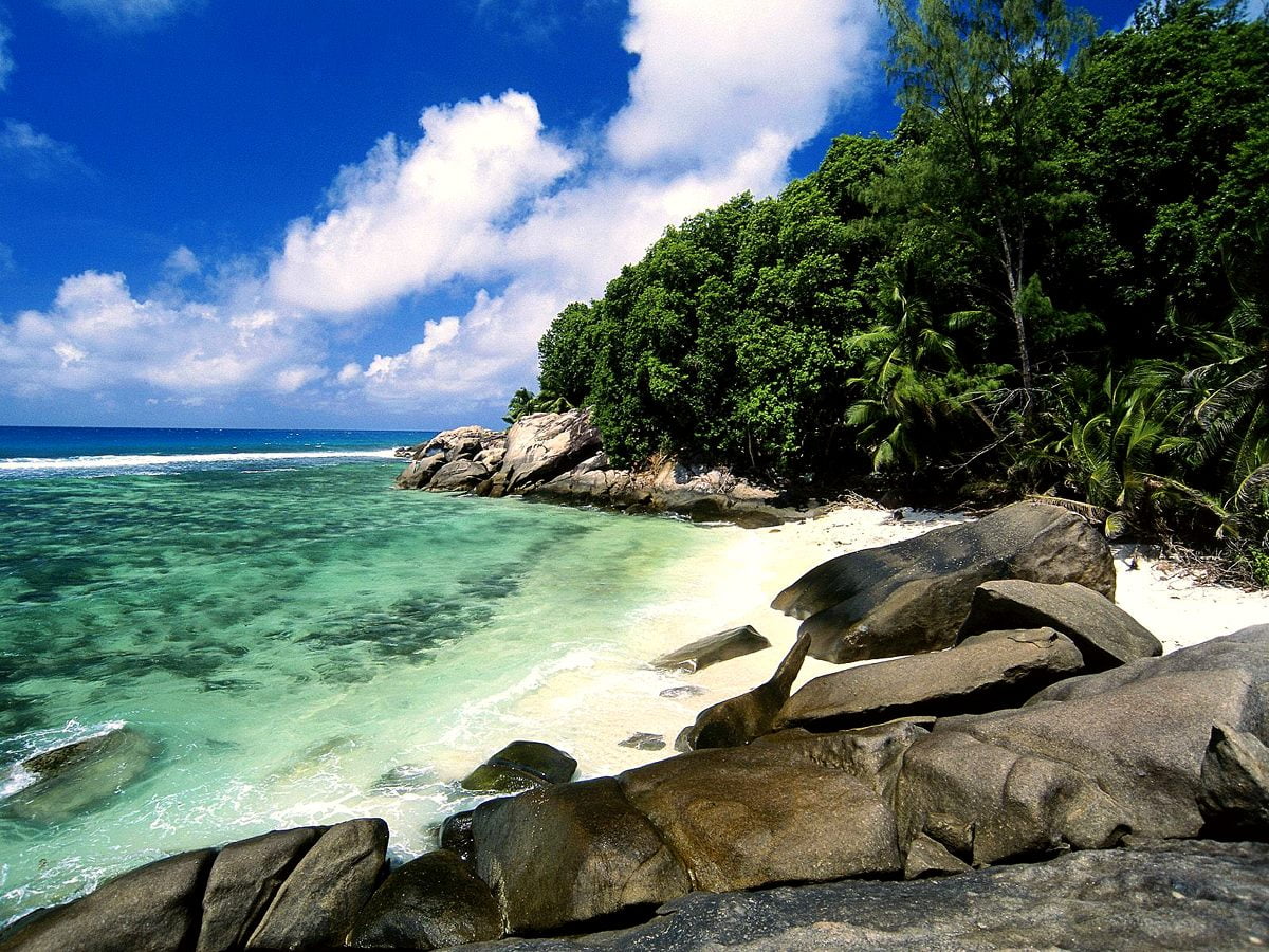 Strand, Meer, Karibik Hintergrund | Download kostenlose Bilder