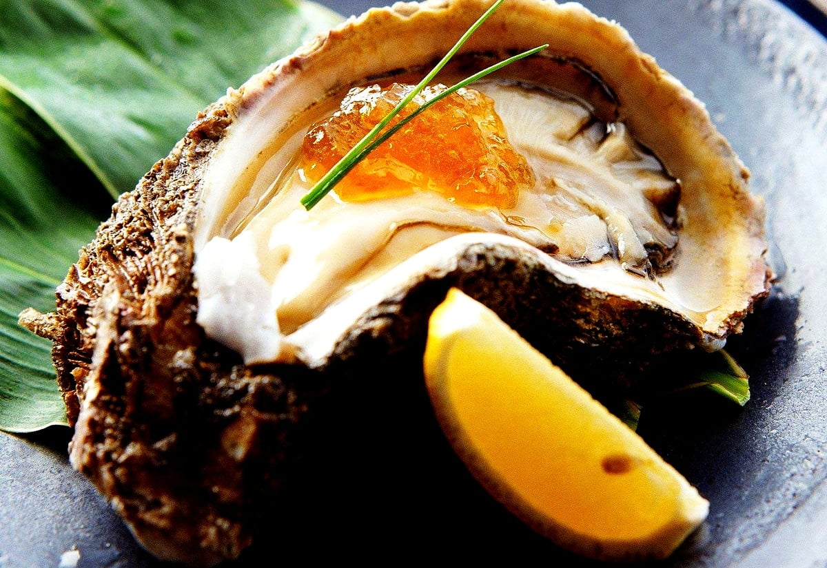 20+ Auster Hintergrundbilder HD | Kostenlose Bilder