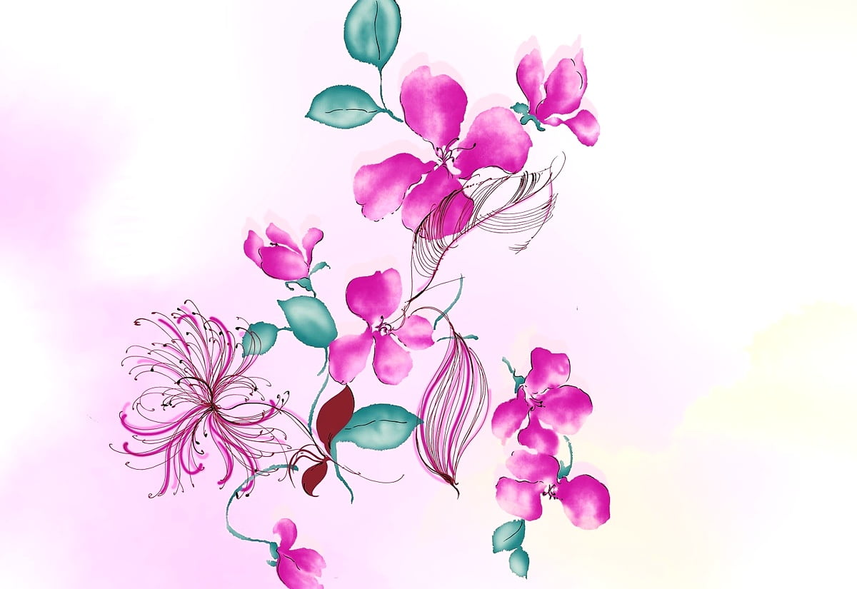 Hintergrundbild Gemalte Blumen, Blumen, Zeichnung | Download beste ...