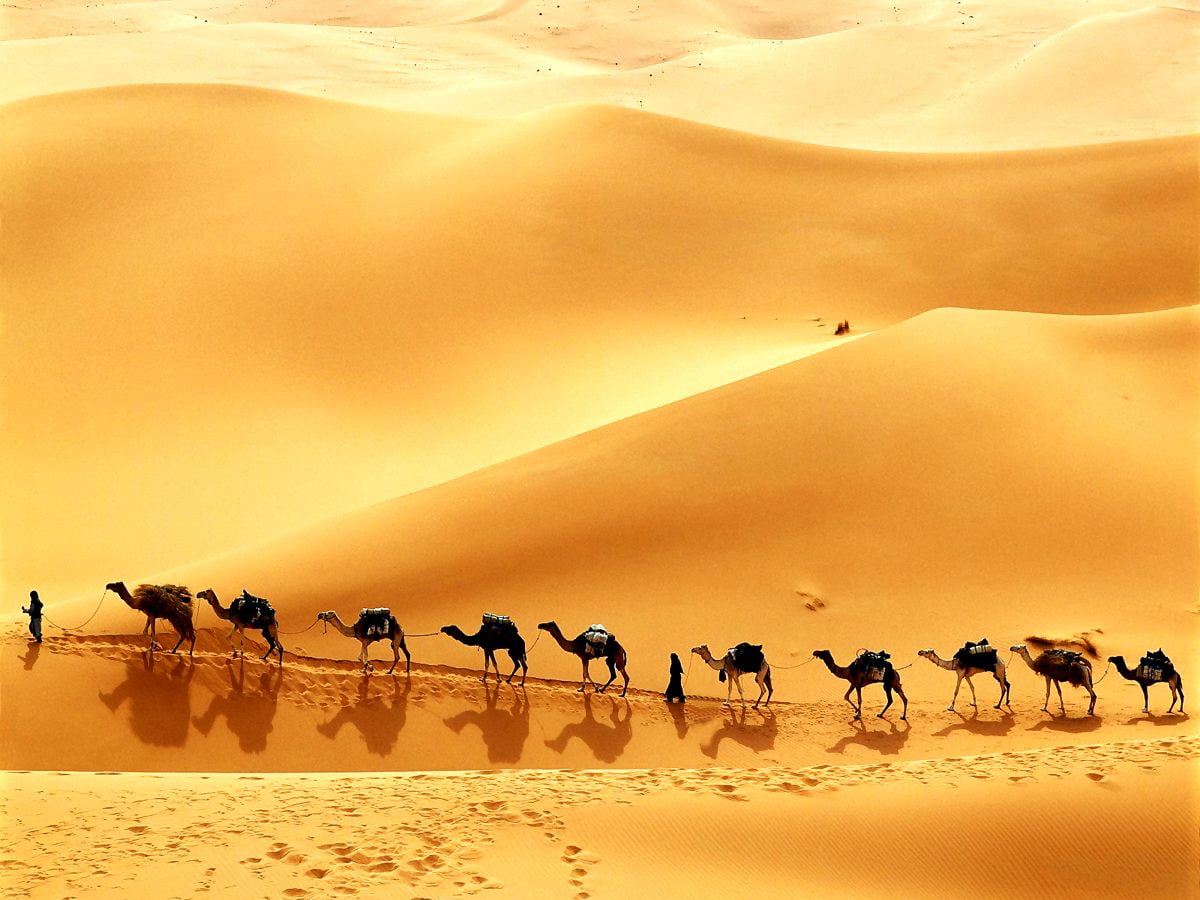 20+ Sahara Hintergrundbilder HD | Kostenlose Bilder