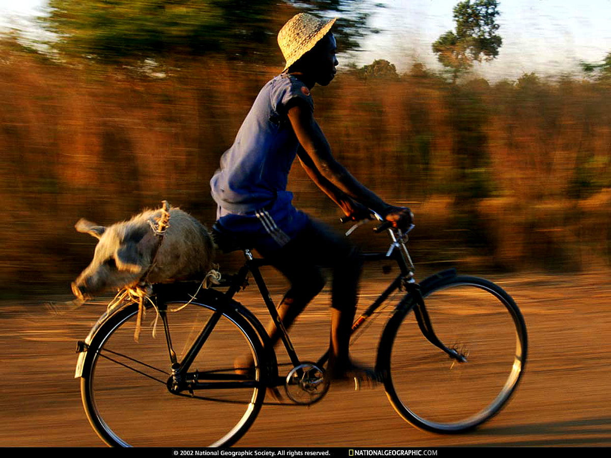 40+ Fahrrad Hintergrundbilder HD | Kostenlose Bilder