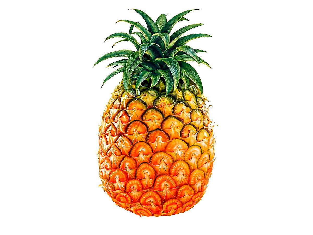 Ananas Hintergrundbilder HD | Kostenlose Bilder