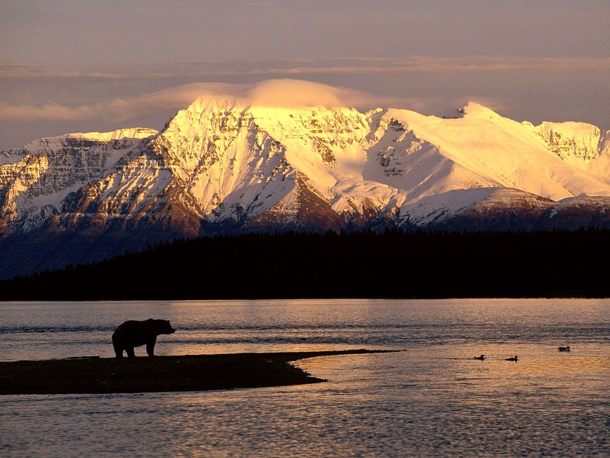 40+ Alaska Hintergründe HD | Kostenlose Bilder