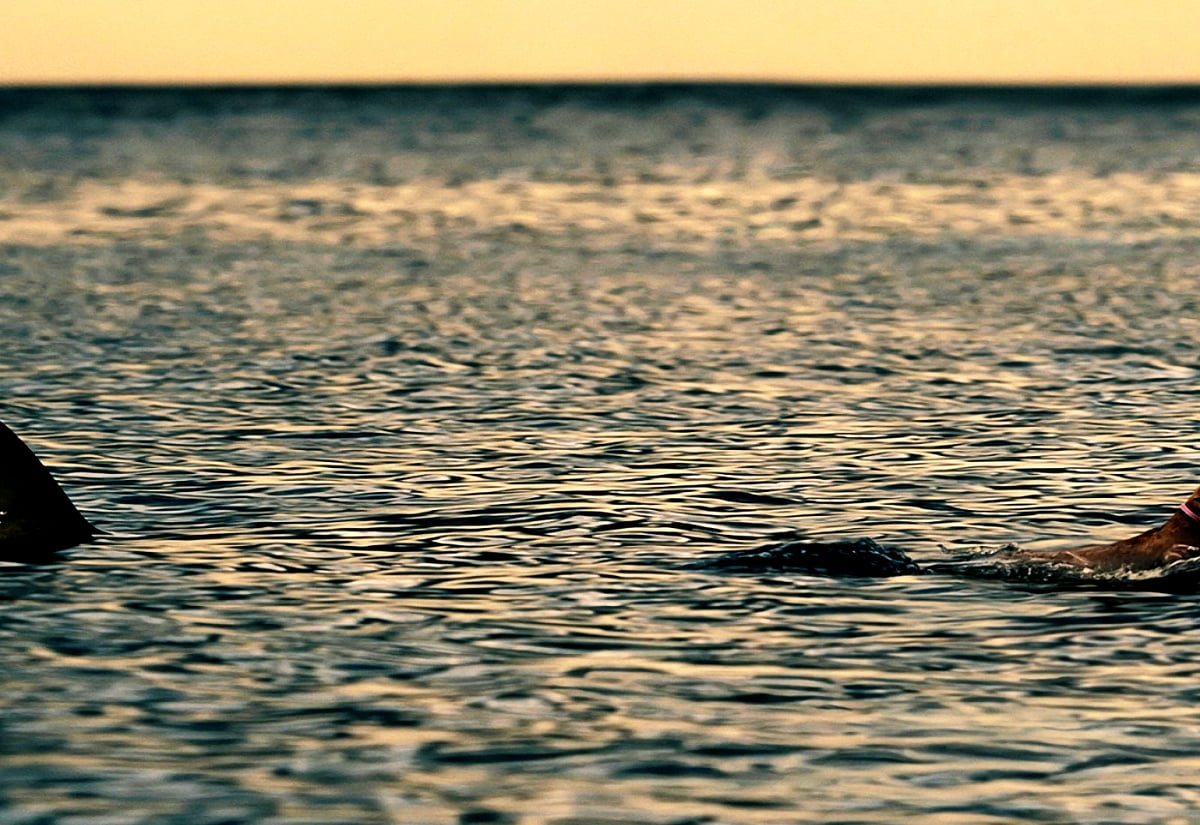 1200+ 4K Hintergrundbilder Meer | Kostenlose Bilder