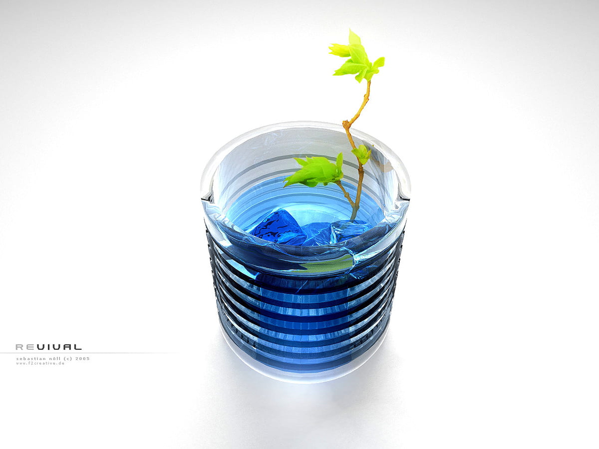 Schöne Foto 3d In Glas Bilder