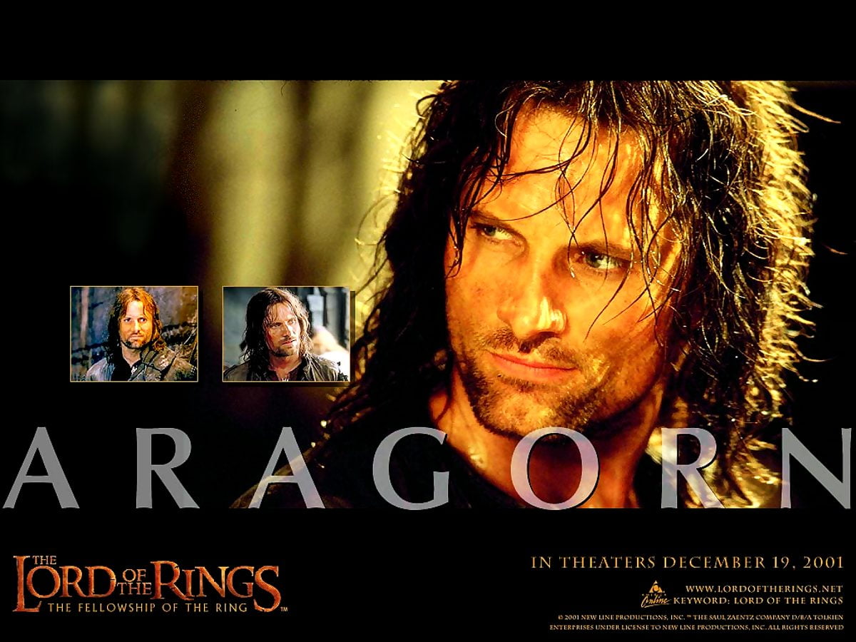 Elijah Wood Herr Der Ringe Poster