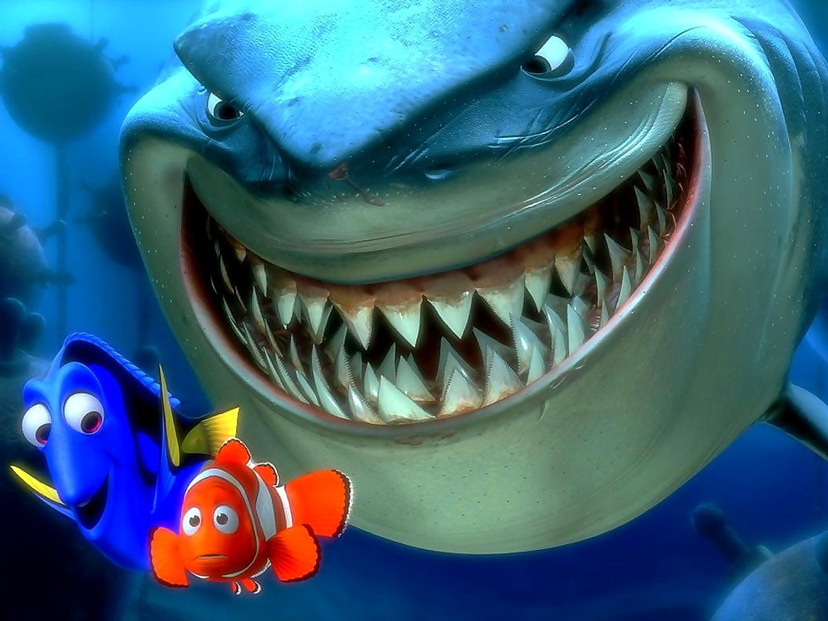 Findet Nemo Hintergrundbilder HD | Kostenlose Bilder