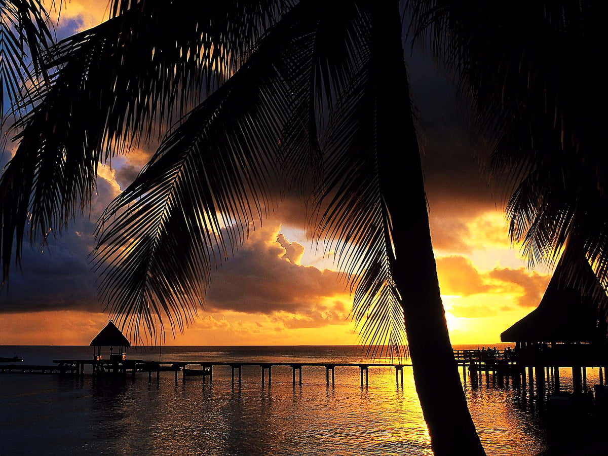 1200+ Hintergrundbilder PC Strand | Kostenlose wallpapers
