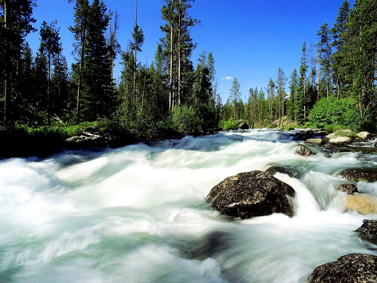 710+ Fluss Hintergründe HD | Kostenlose Bilder