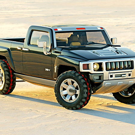 80+ Hummer Hintergrundbilder HD | Kostenlose Bilder